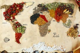What is Curry? Your Comprehensive Curry Guide - Sukhi's