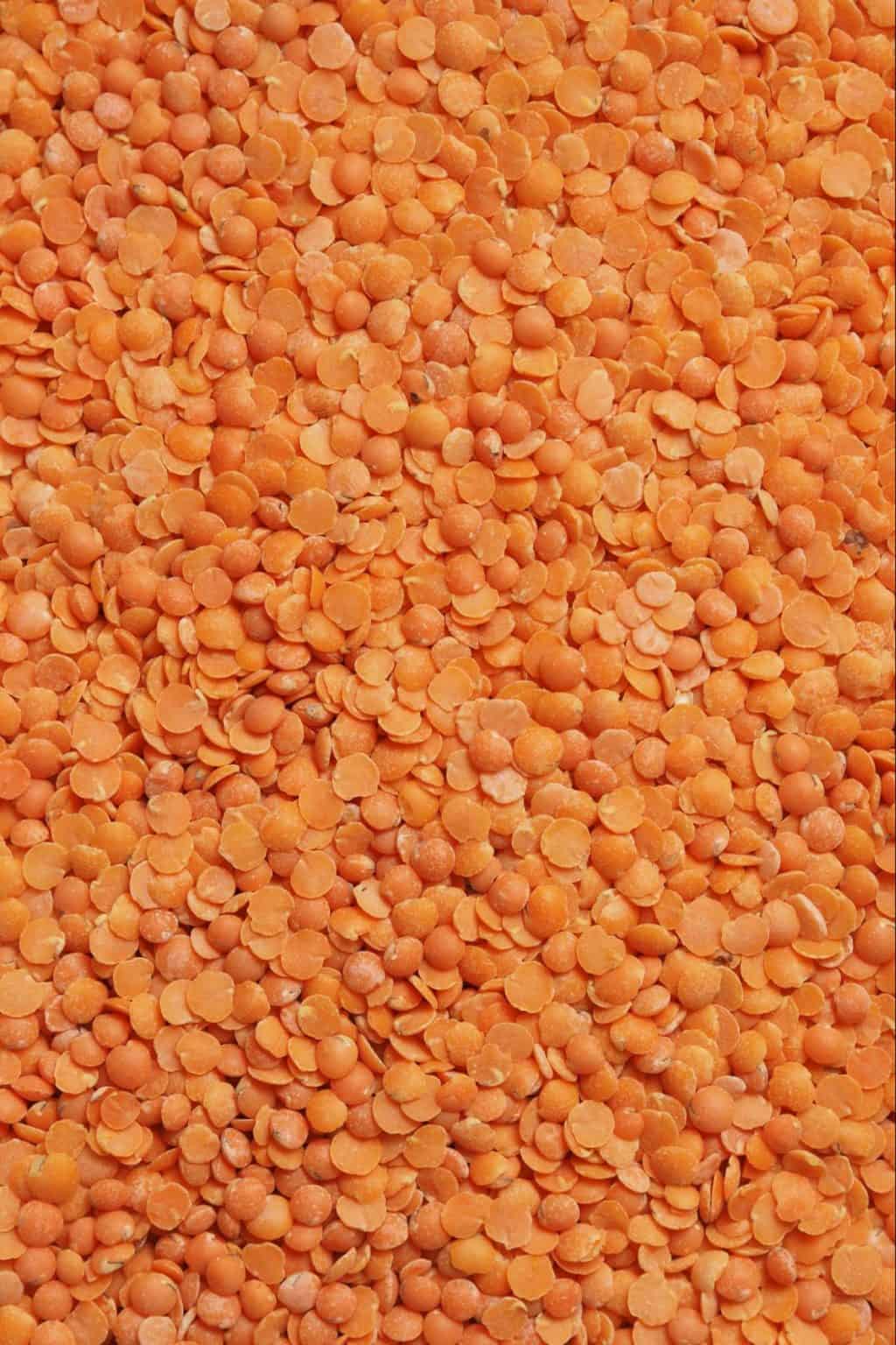 Everything You Need to Know About Dal - Sukhi's